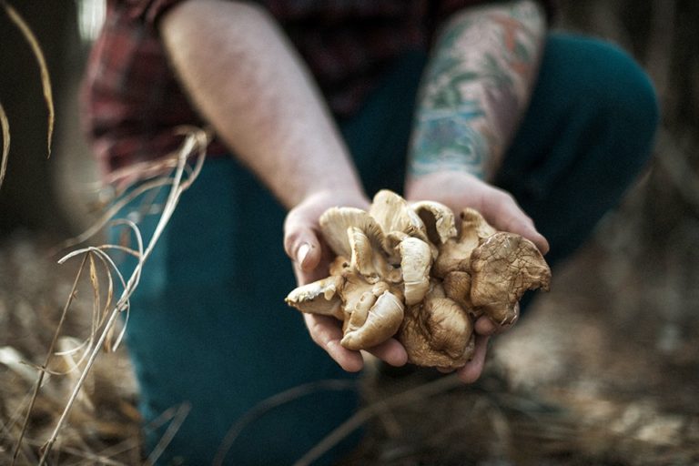 ½: At Bulrush, Rob Connoley fashions a vital modern restaurant from ...